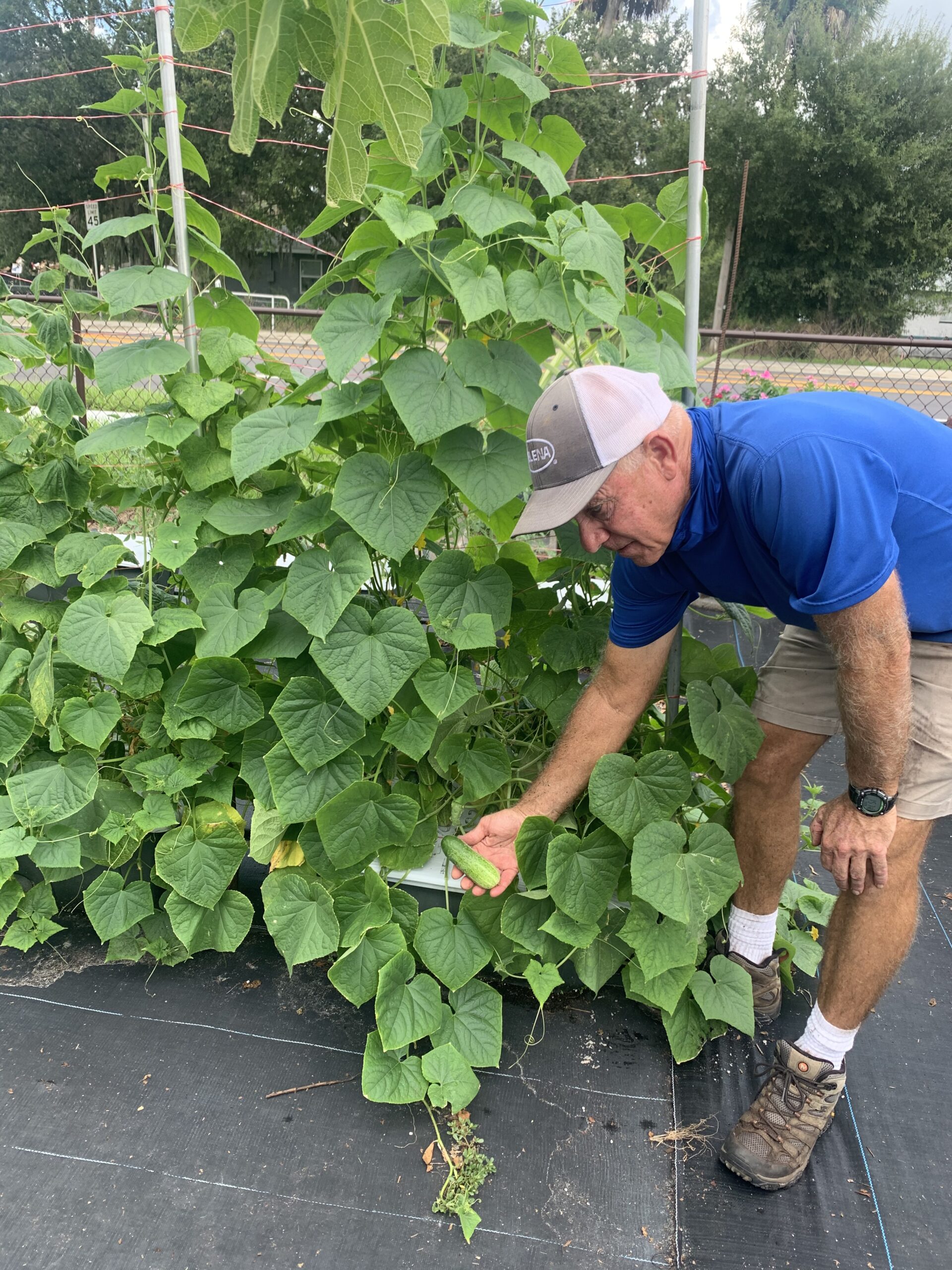 Welcome to Fall Gardening Blog 2