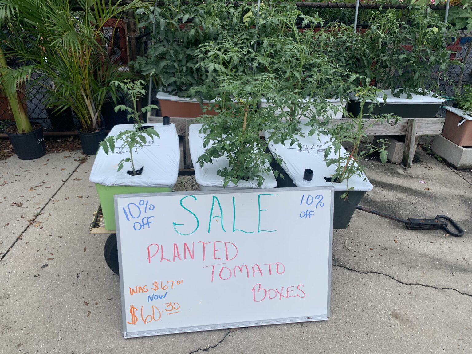 Welcome to Fall Gardening Blog 2